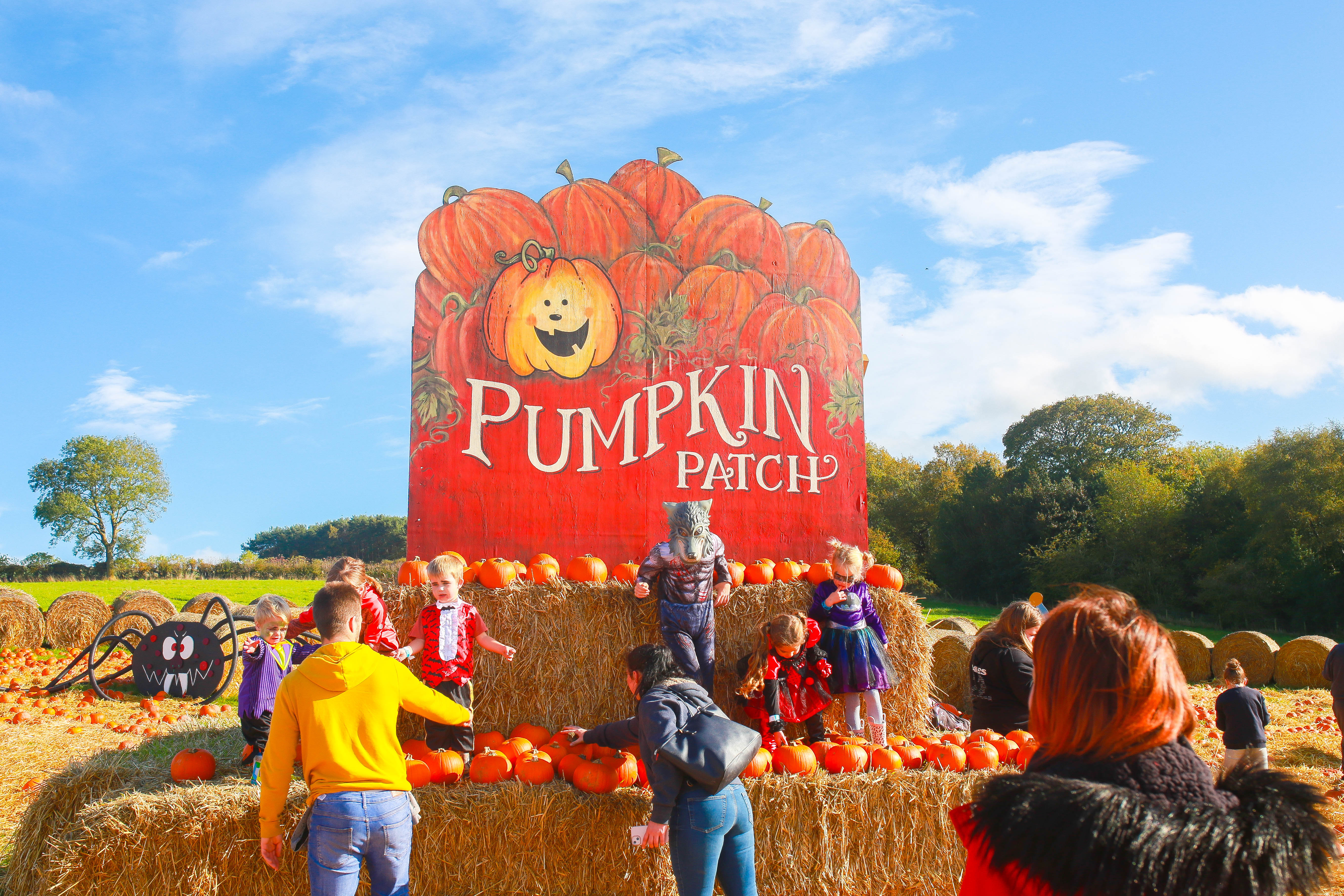 Family-Fright-Fest-Lintz-Hall-Farm