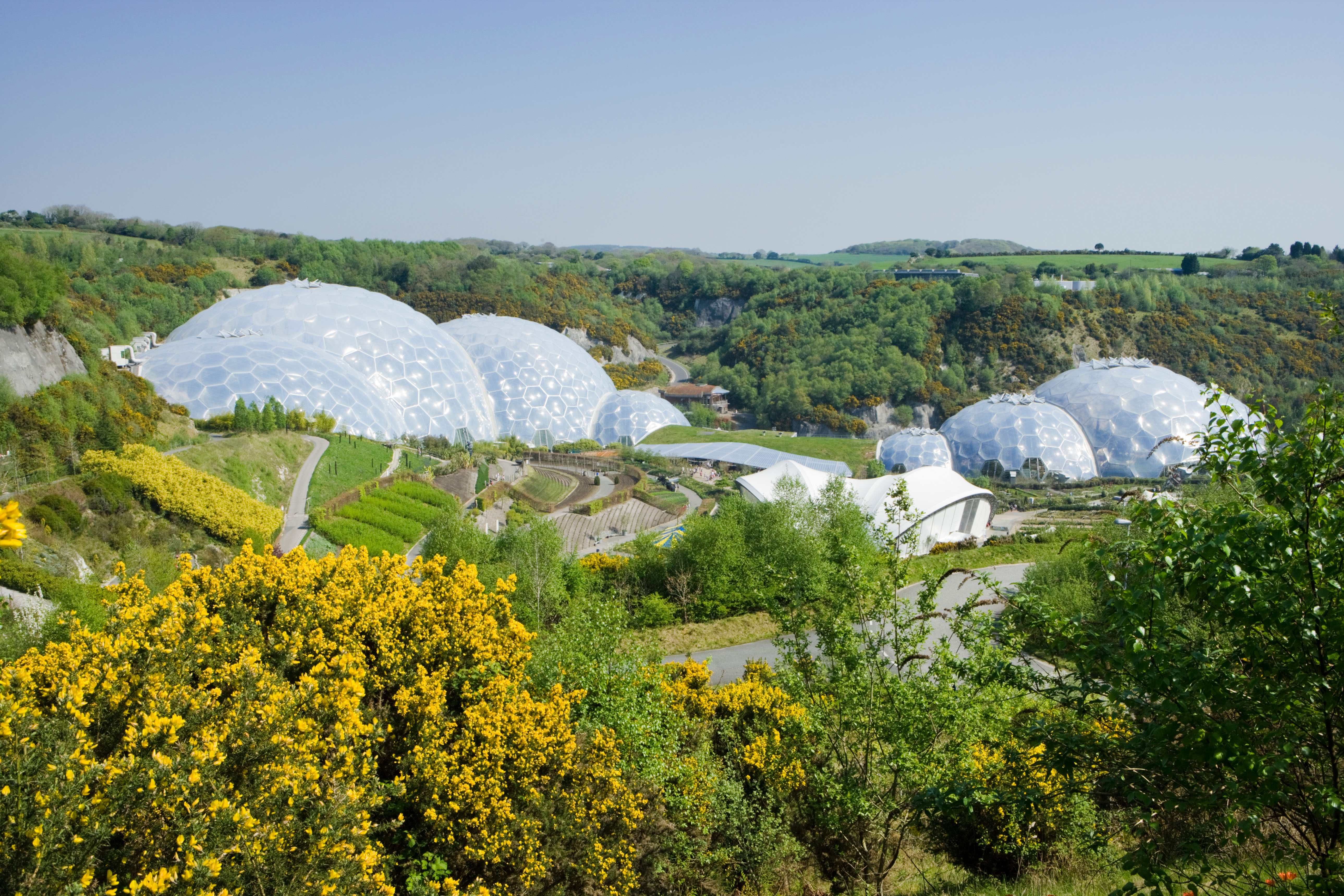 Eden Project's losses more than double as visitor numbers fall