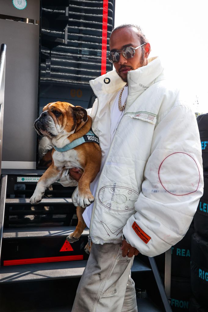 Lewis Hamilton announces death of 'angel and true friend' pet dog Roscoe