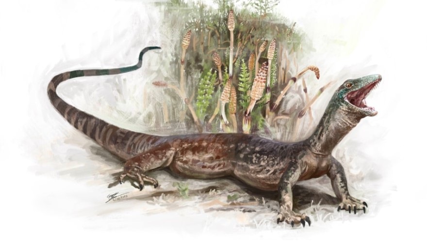 Fossil found in Scotland reveals new species of Jurassic reptile | News ...
