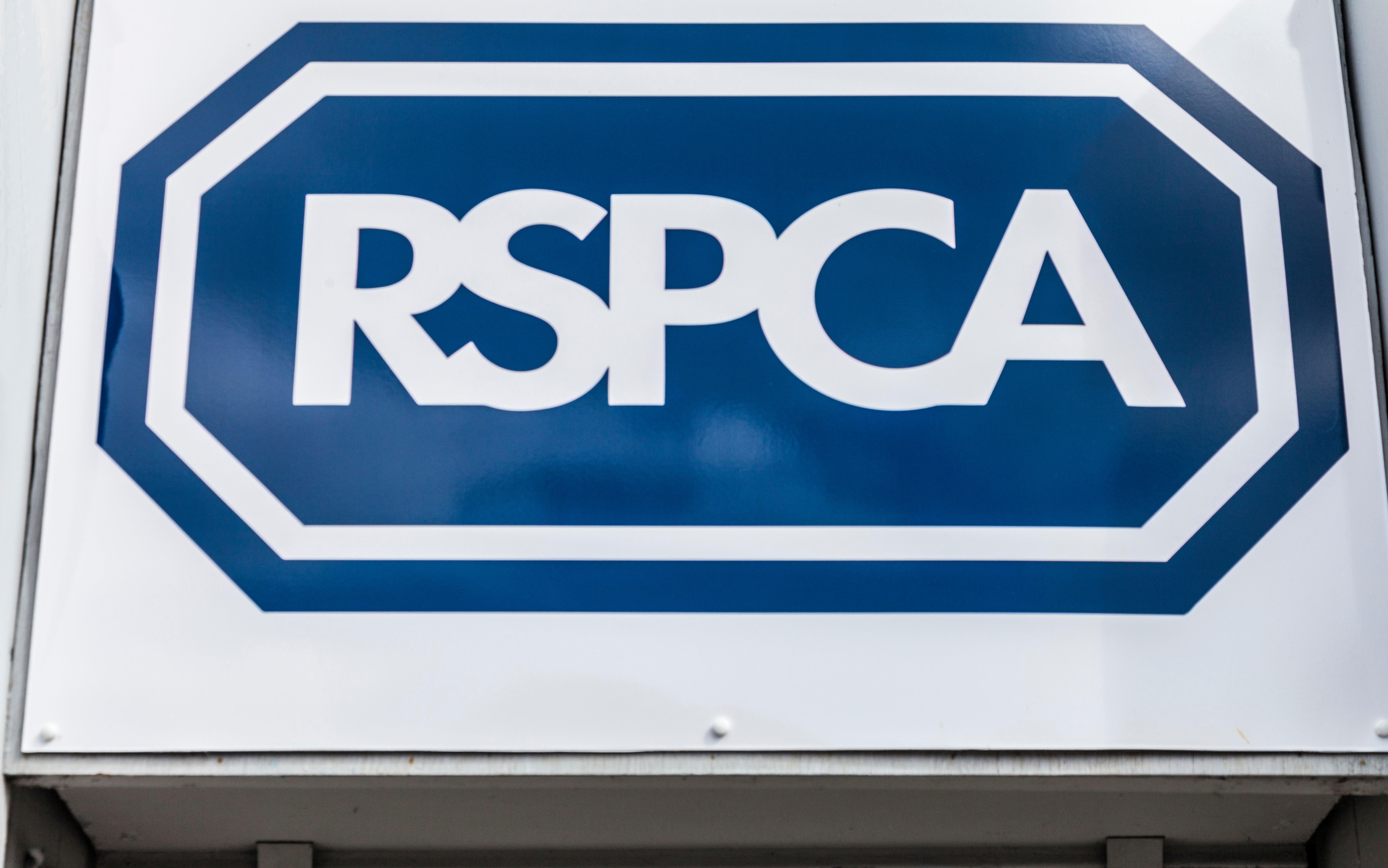 Tributes paid to longest serving RSPCA volunteer in Coventry | News ...