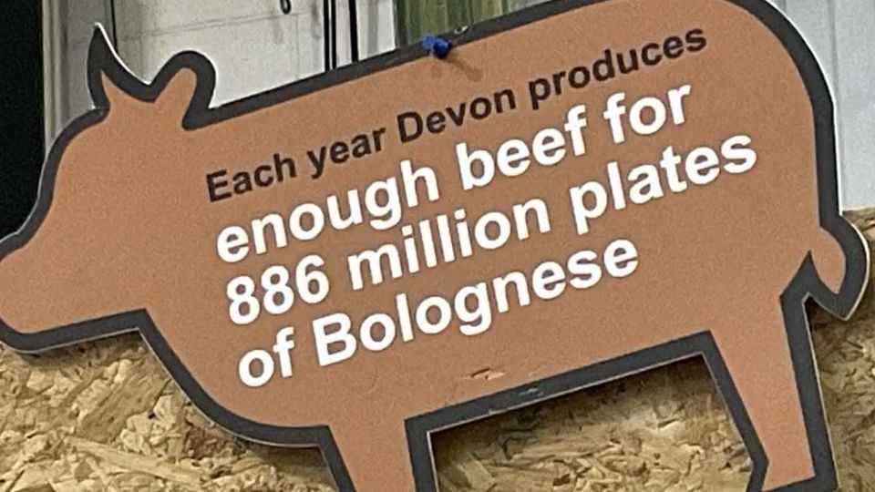 Farmwise returns to teach children in Devon where their food comes from ...