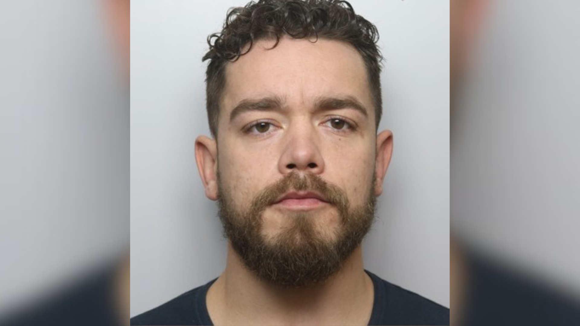 Man pleads guilty to fatal dog attack in Stonnall