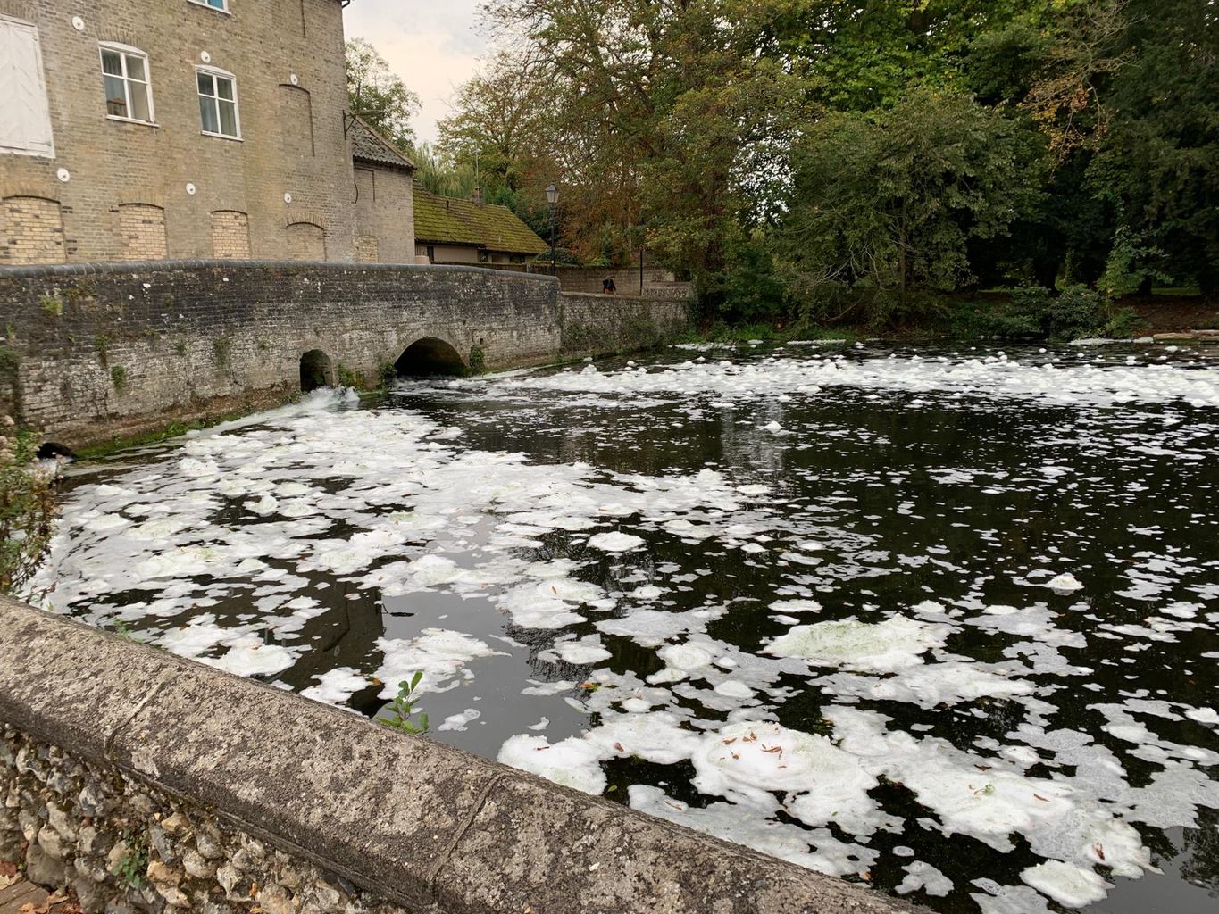 Investigations underway after fish die in foam layer on river Thet