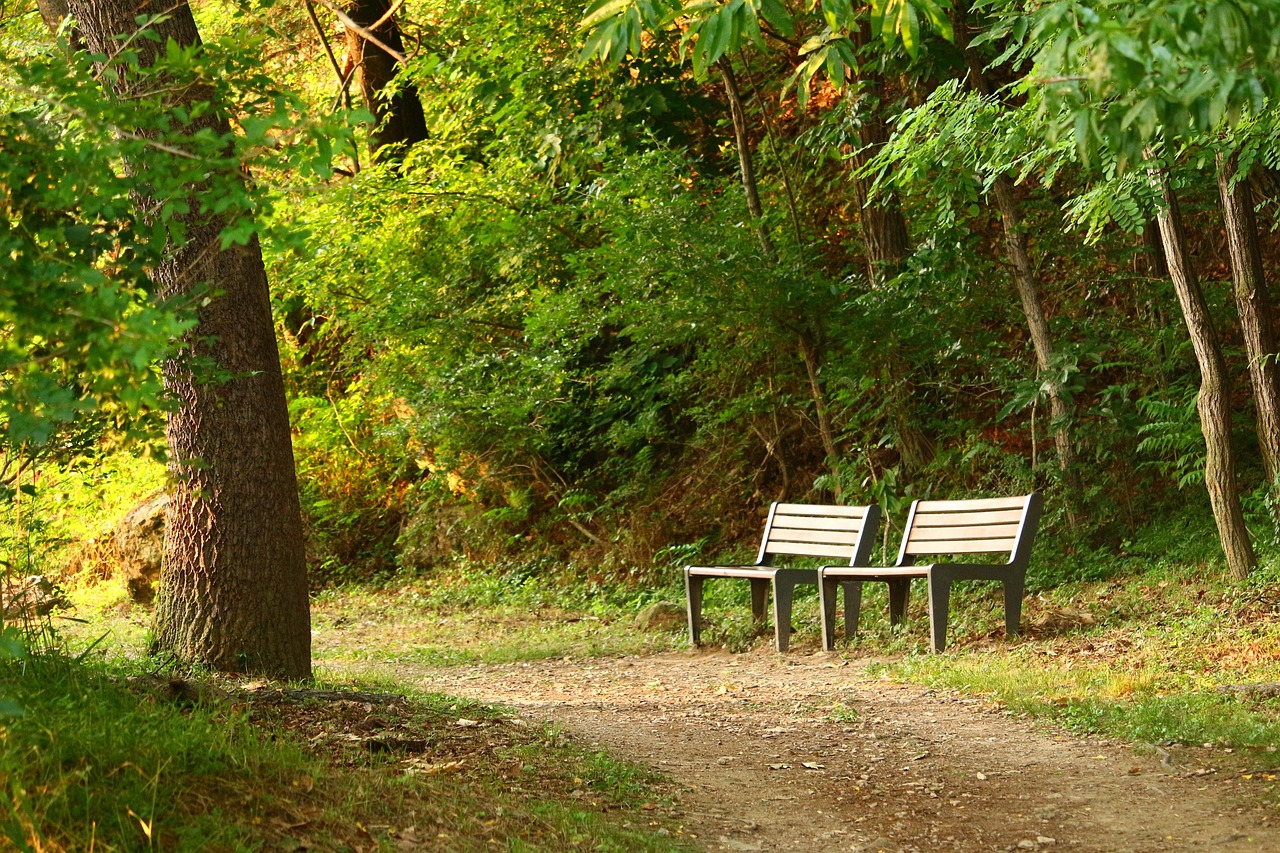 Plan to make Bristol parks safer for women and girls | News - Hits ...