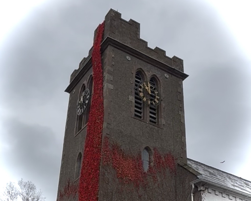 Thousands of Hand Stitched Poppies Transform Co. Armagh Church for ...
