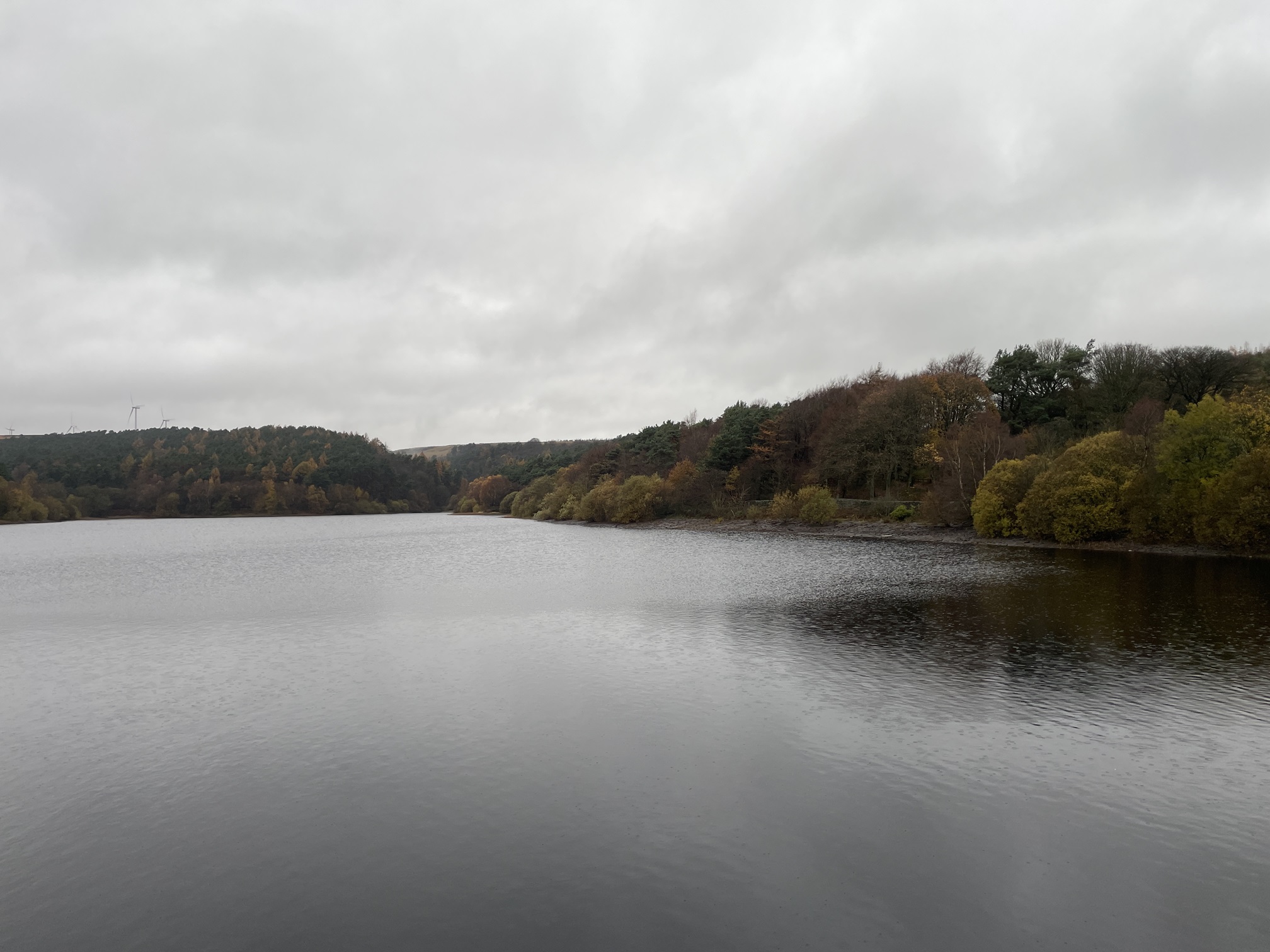 Local reservoirs still rising but at different rates - Yorkshire Water ...