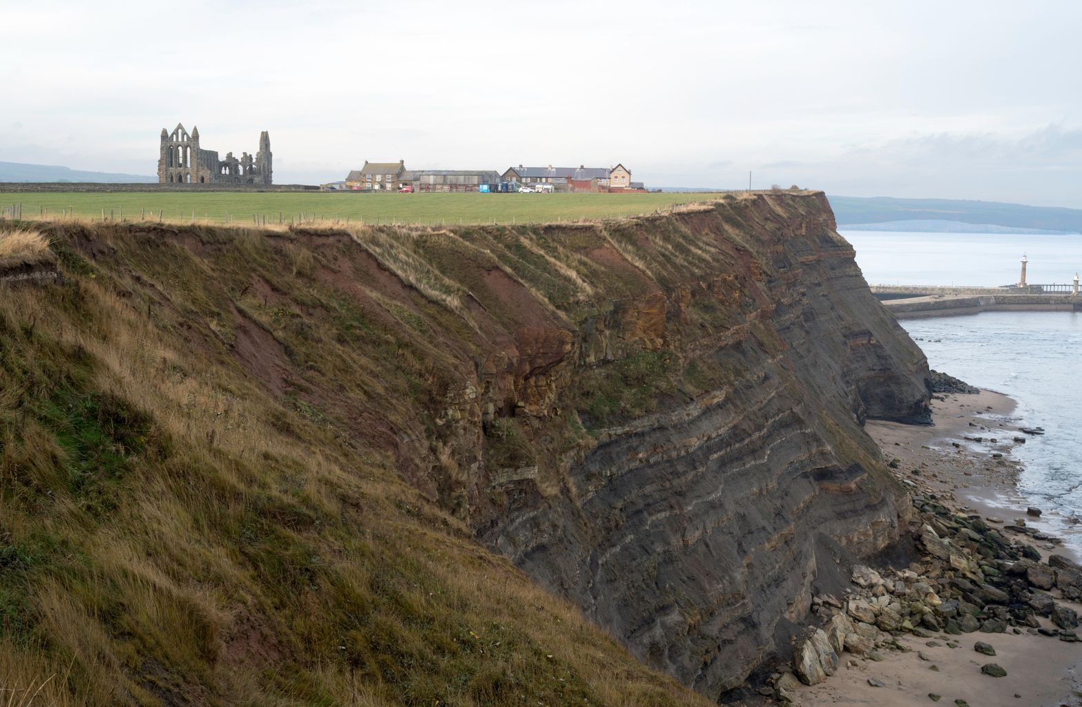 'Devoted' couple jumped from Whitby Cliffs as husband's health ...