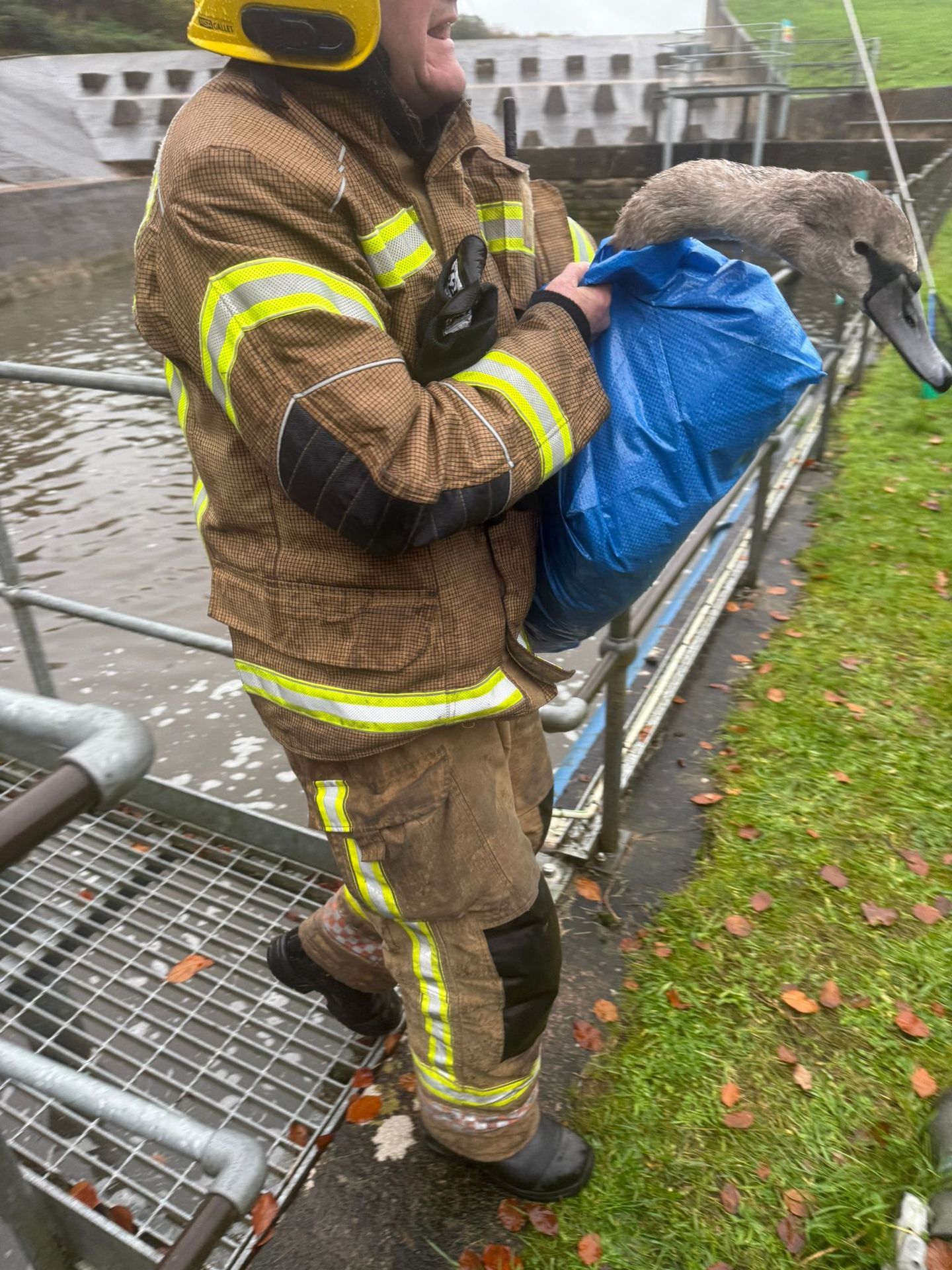 Fire crews called out to 'real-life Hot Fuzz moment' near Chew Magna