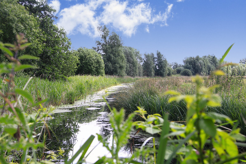 £775,000 raised to secure new Suffolk nature reserve
