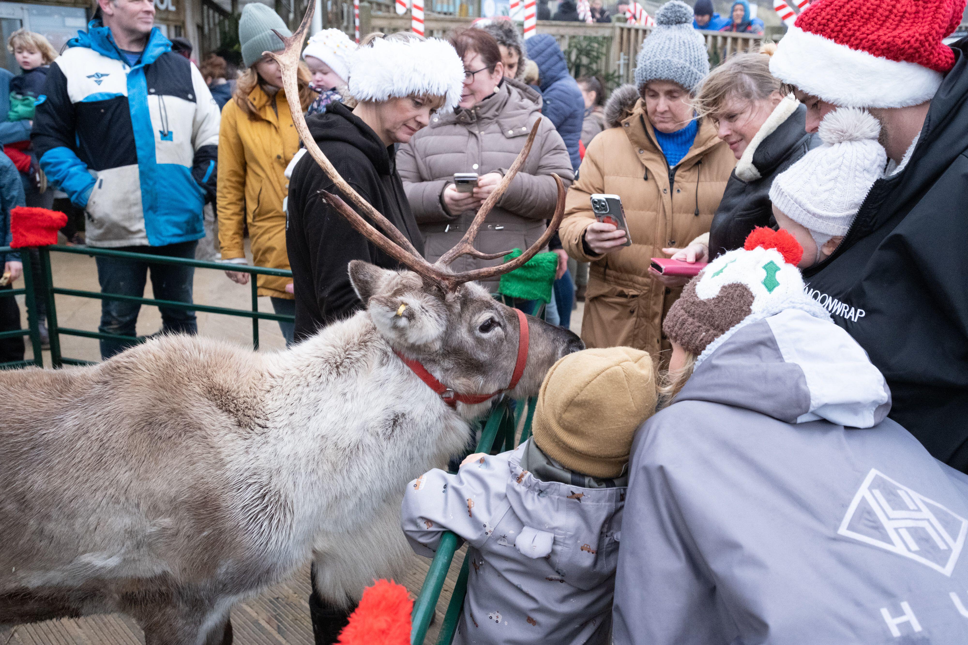 Christmas has come early to Newquay with markets open! | News - Hits ...