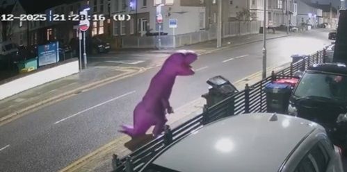 Fly-tipper dressed as dinosaur caught on CCTV in Southend | News ...
