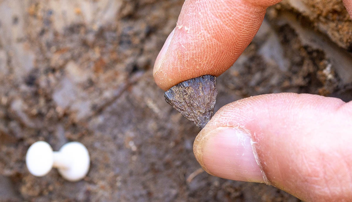 Earliest known evidence of human fire-making discovered in UK | News ...