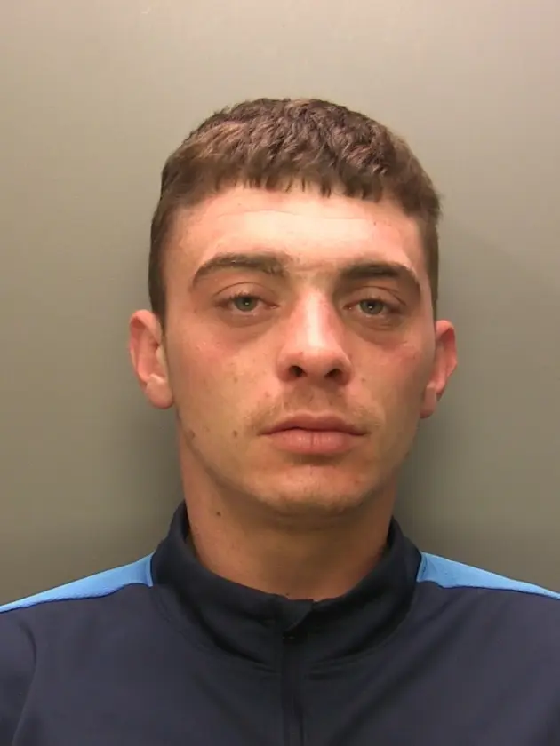 Three sentenced after stealing puppy armed with bat in Cumbria | News ...