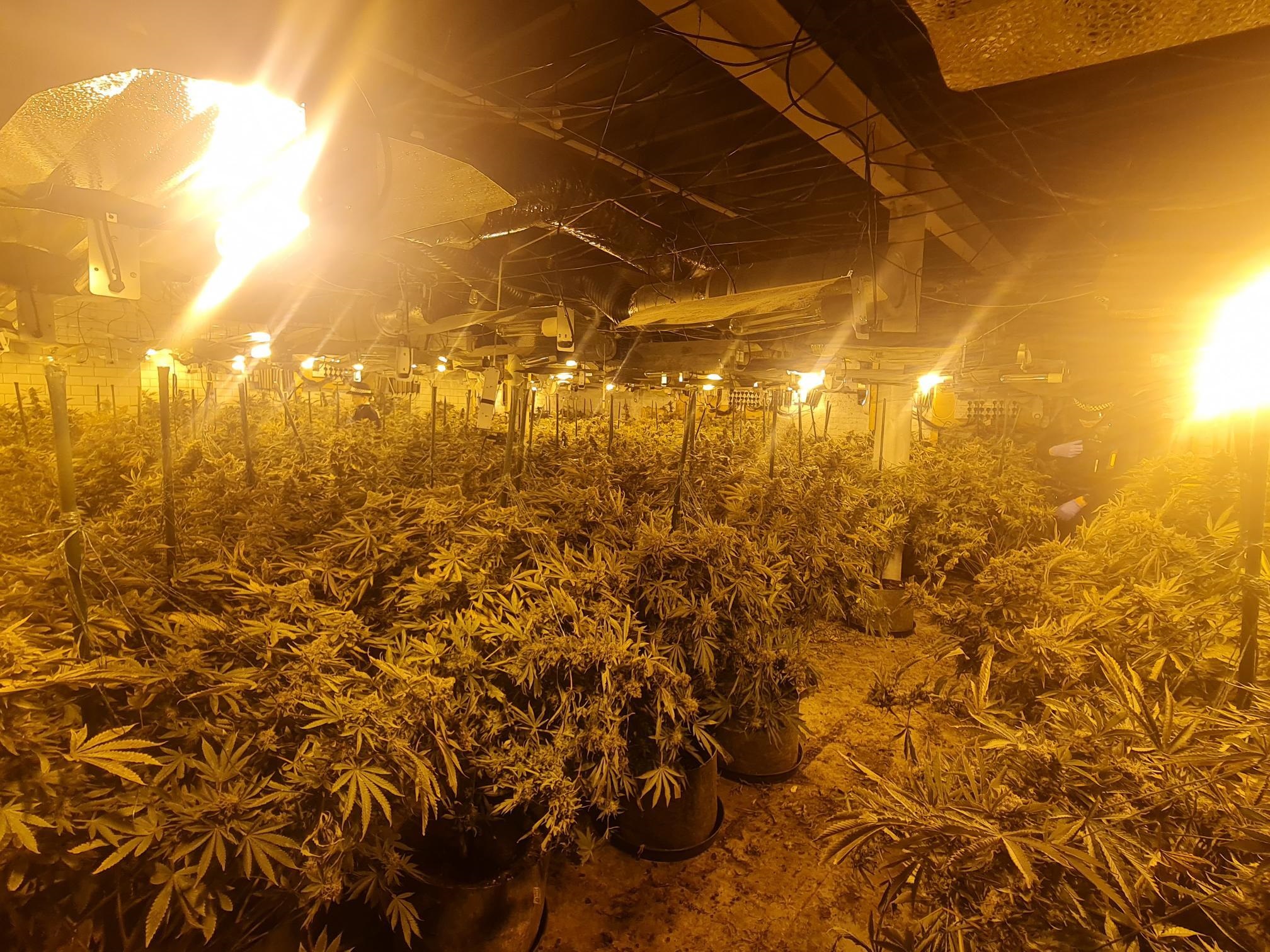 15 men jailed after cannabis farm found in Liverpool warehouse