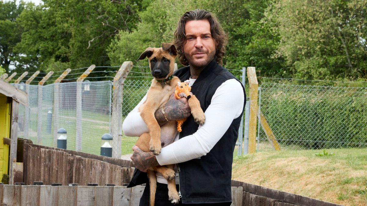 Pete Wicks: For Dogs' Sake renewed for a fourth series