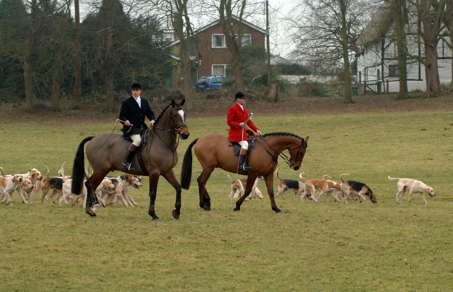 New animal welfare strategy sparks mixed reactions in Oxfordshire