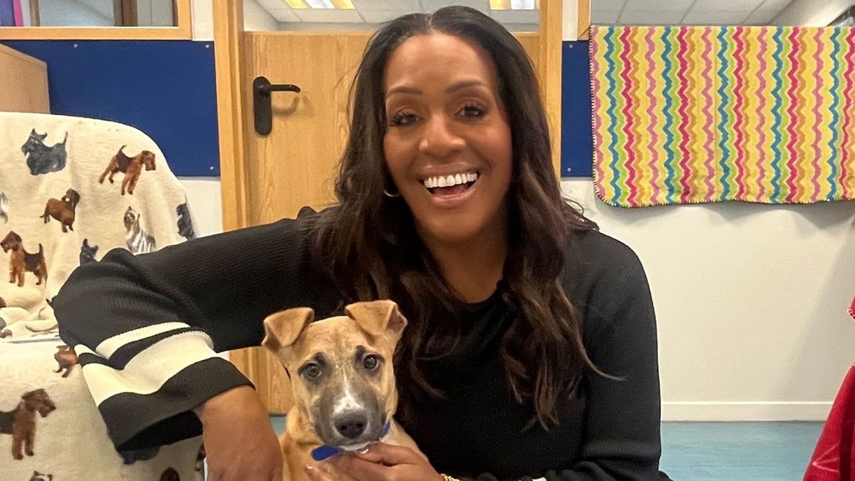 Your guide to For The Love of Dogs with Alison Hammond
