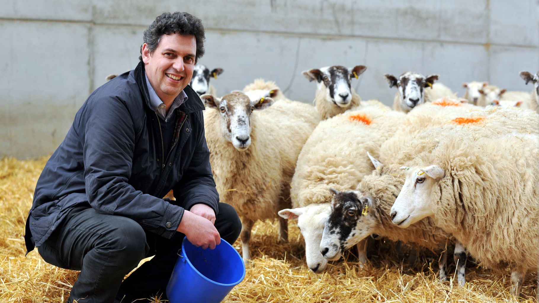 Royal Agricultural University professor honoured for services to animal ...