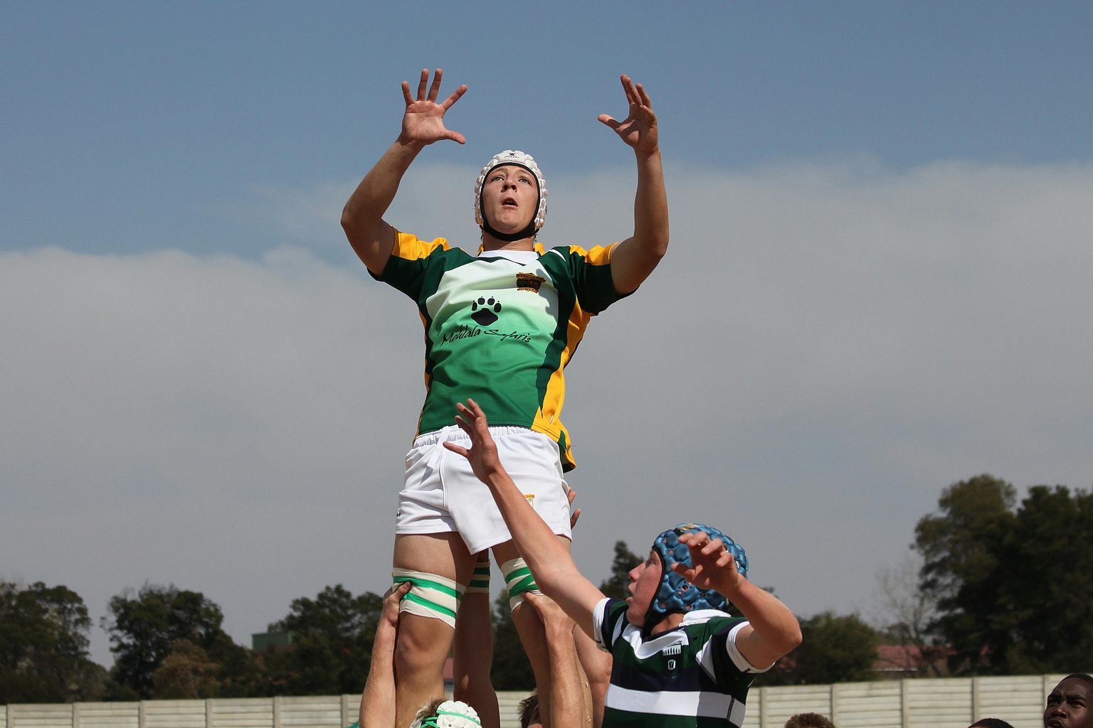 Bath MP calls for stronger protections against brain injury in sport