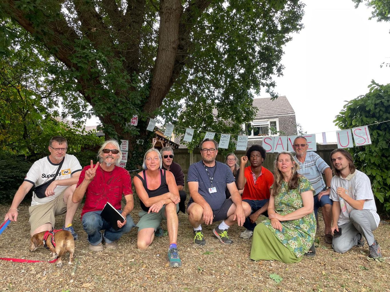 Billingshurst: Calls for support as campaign to stop tree chop continues