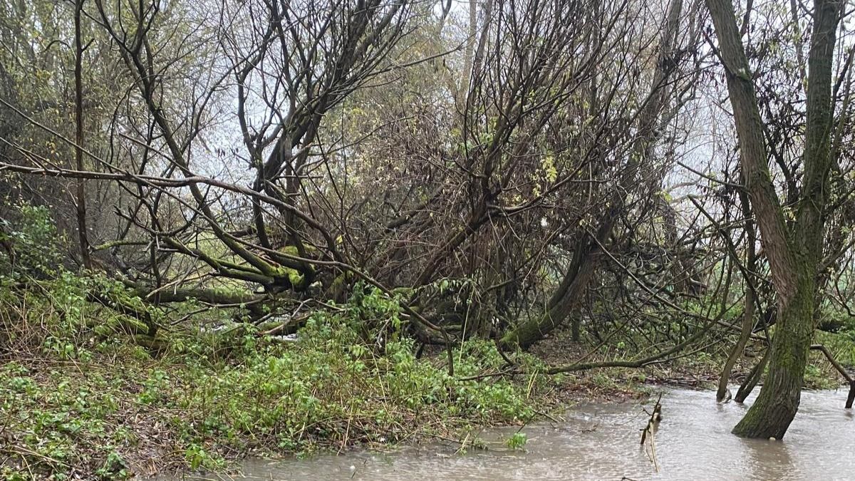 Scientists say further testing is needed in Corby's rivers after new ...