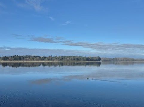 Hanningfield Reservoir Nature Discovery Park to reopen today | News ...