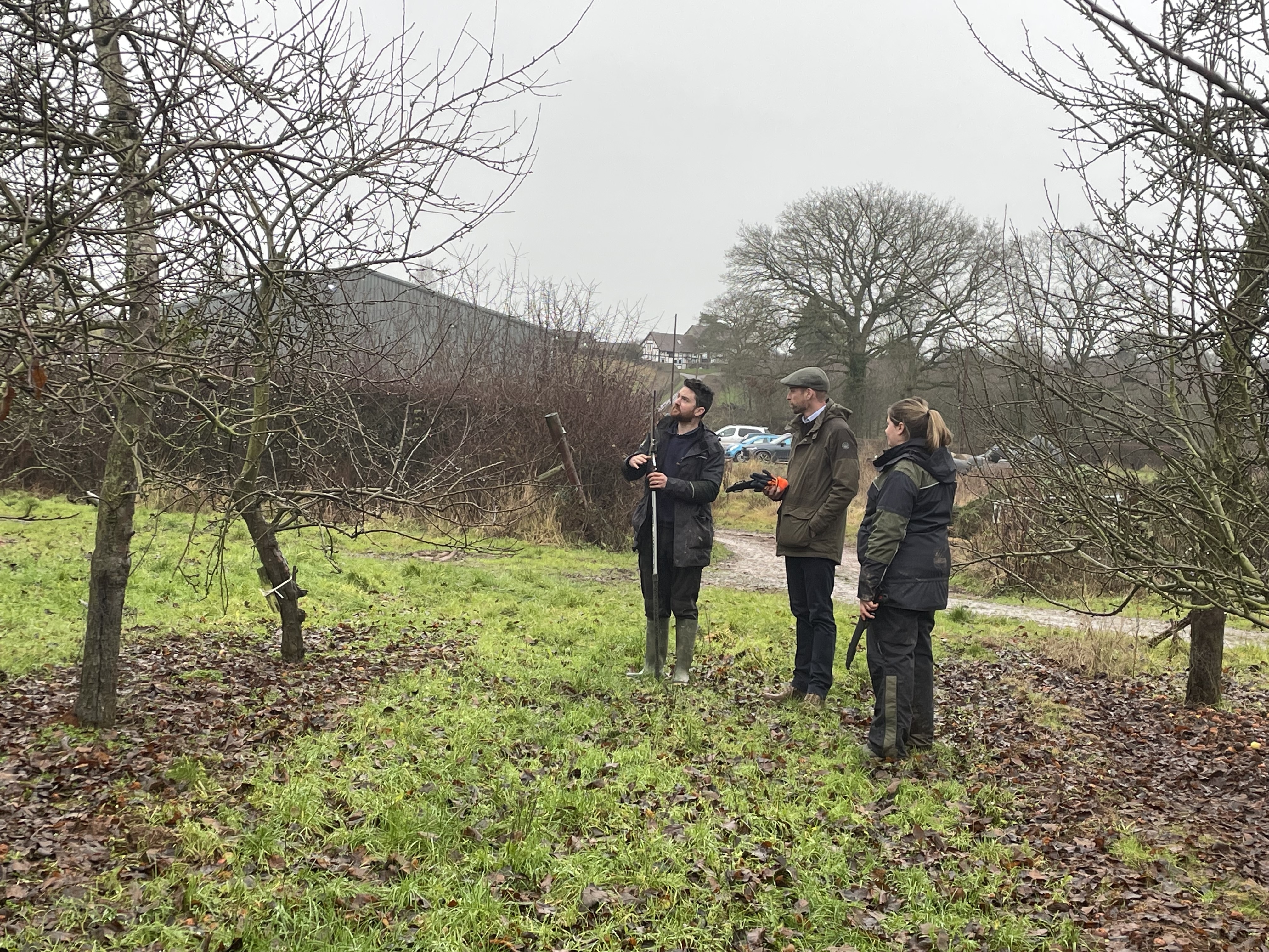 Prince of Wales prunes apple trees during visit to Herefordshire family ...
