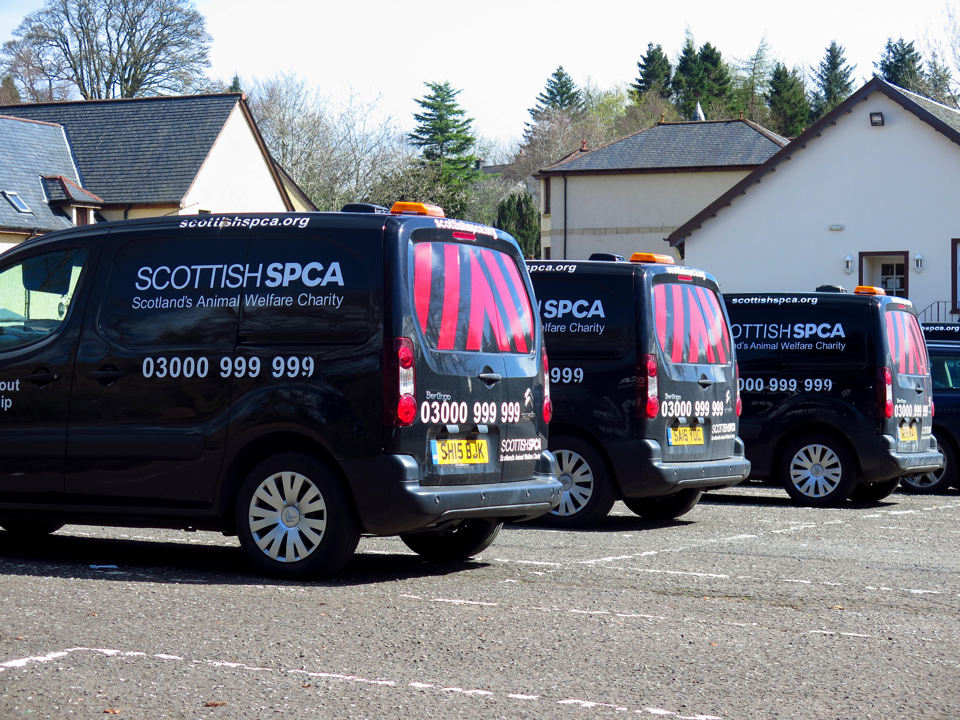 SSPCA investigating after dog found dead in Edinburgh park
