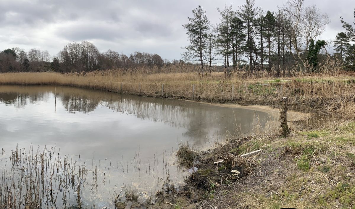 Environment Agency makes £6 million agreement with company responsible ...