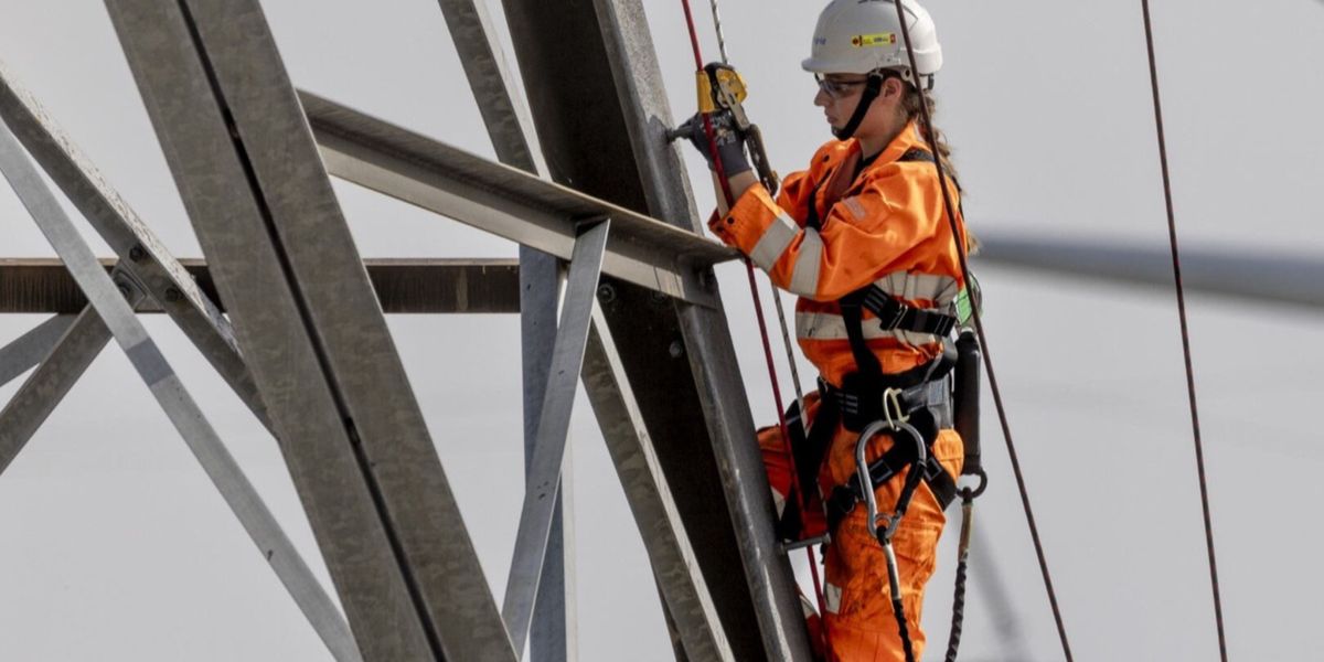 Tendring council opposes new pylons scheme citing impacts on local ...