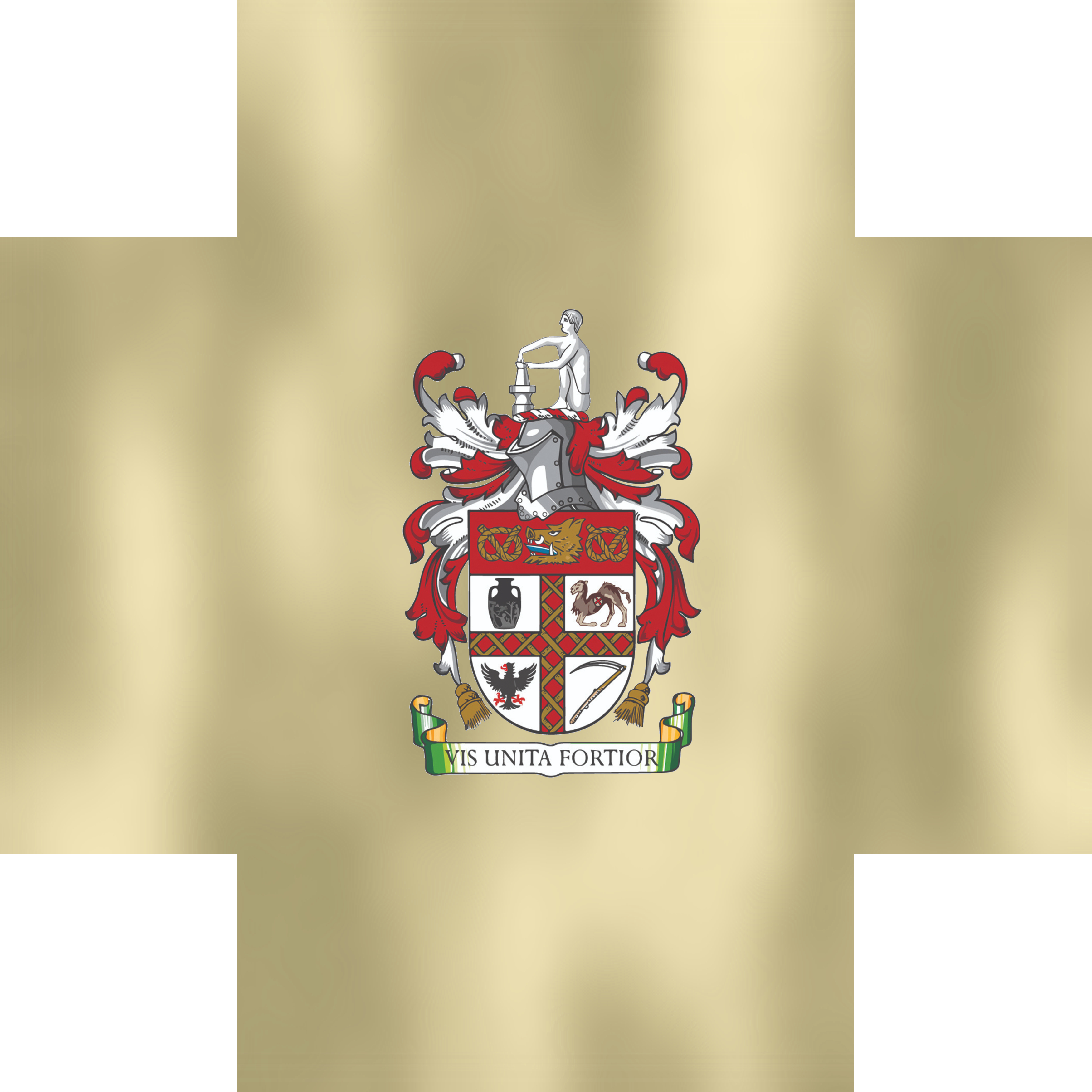 £17.2m investment for adult social care in Stoke On Trent
