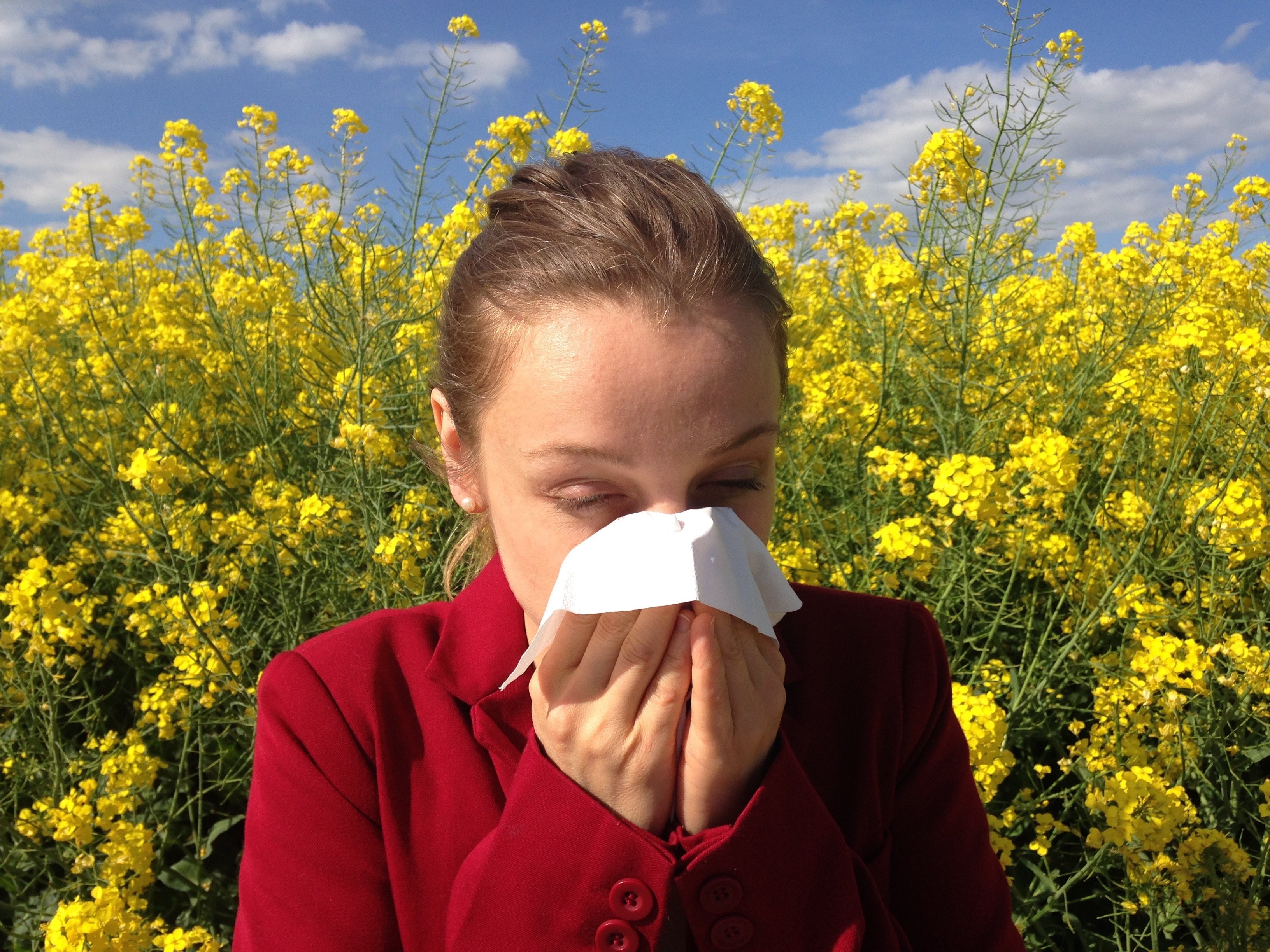 Hay fever symptoms extended by two weeks due to climate change
