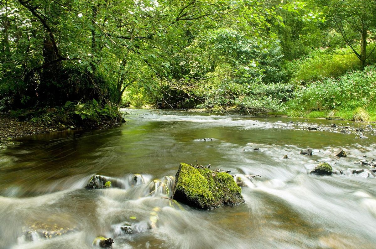 Events to examine forever chemicals in Yorkshire rivers