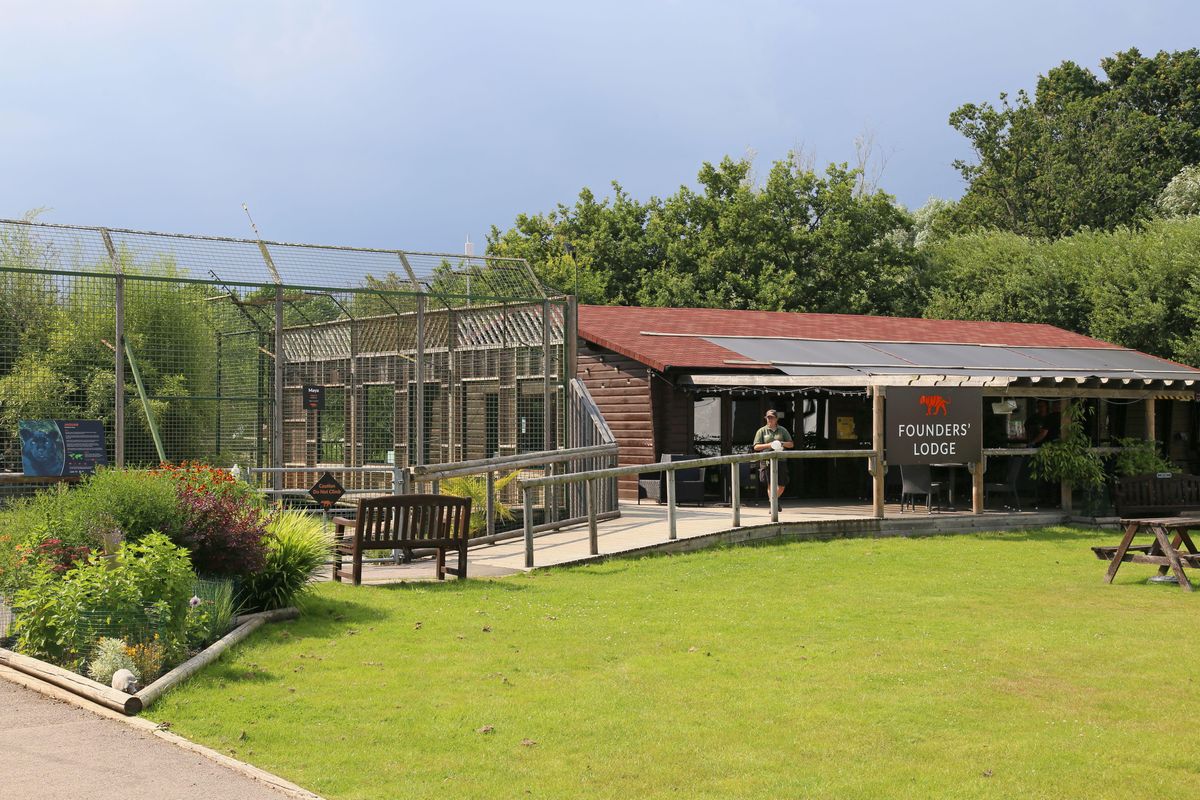 Kent Big Cat Sanctuary manager becomes bestseller