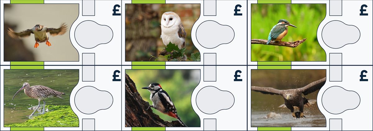 New animal banknote choices revealed as consultation opens