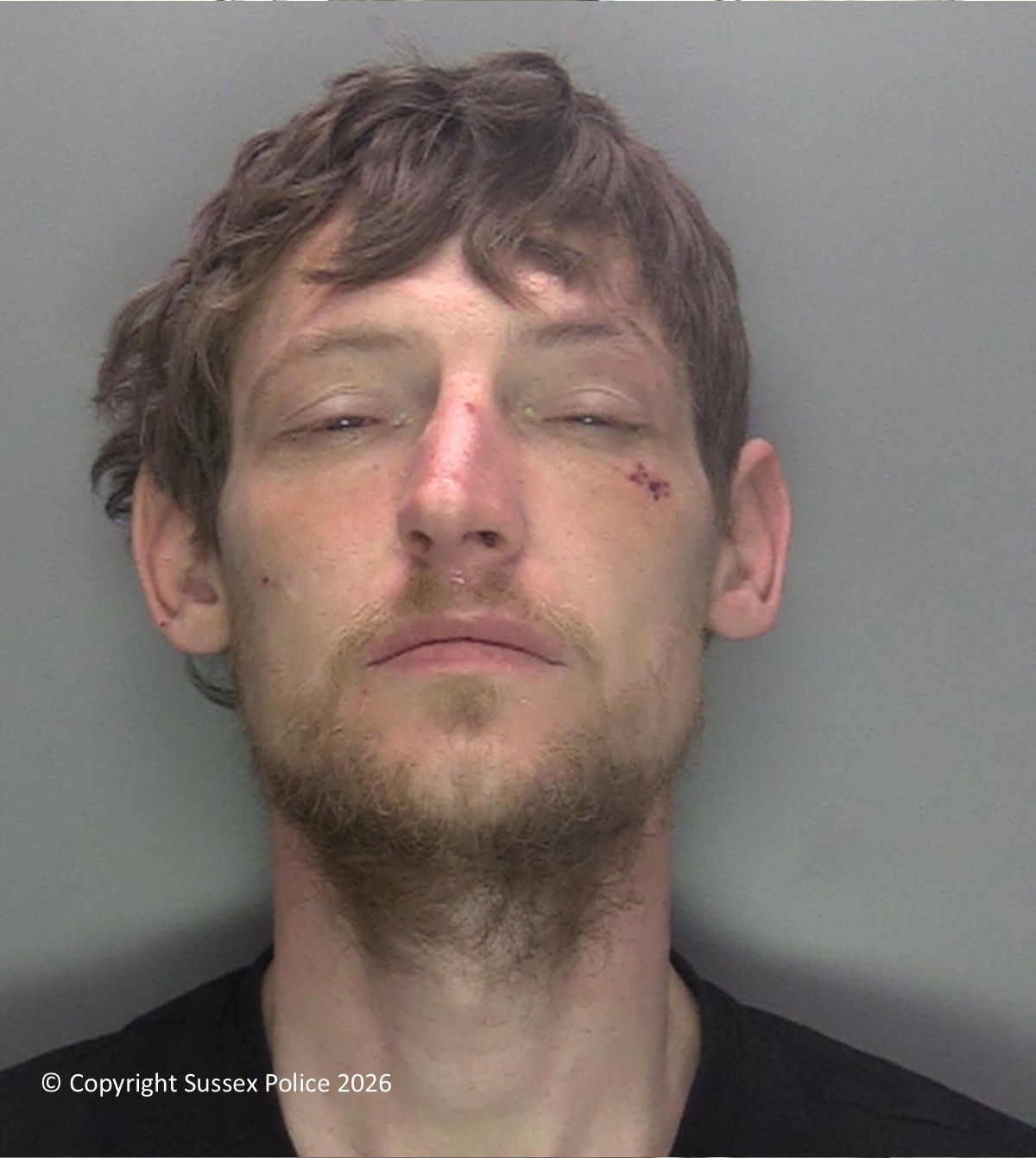 Prolific Crawley shoplifter jailed