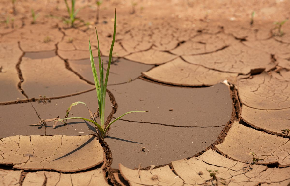 Oxford research links drought to sexual violence in Southern Africa