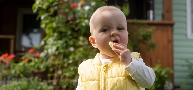 Early diet may shape how the teenage brain develops, Swansea review finds