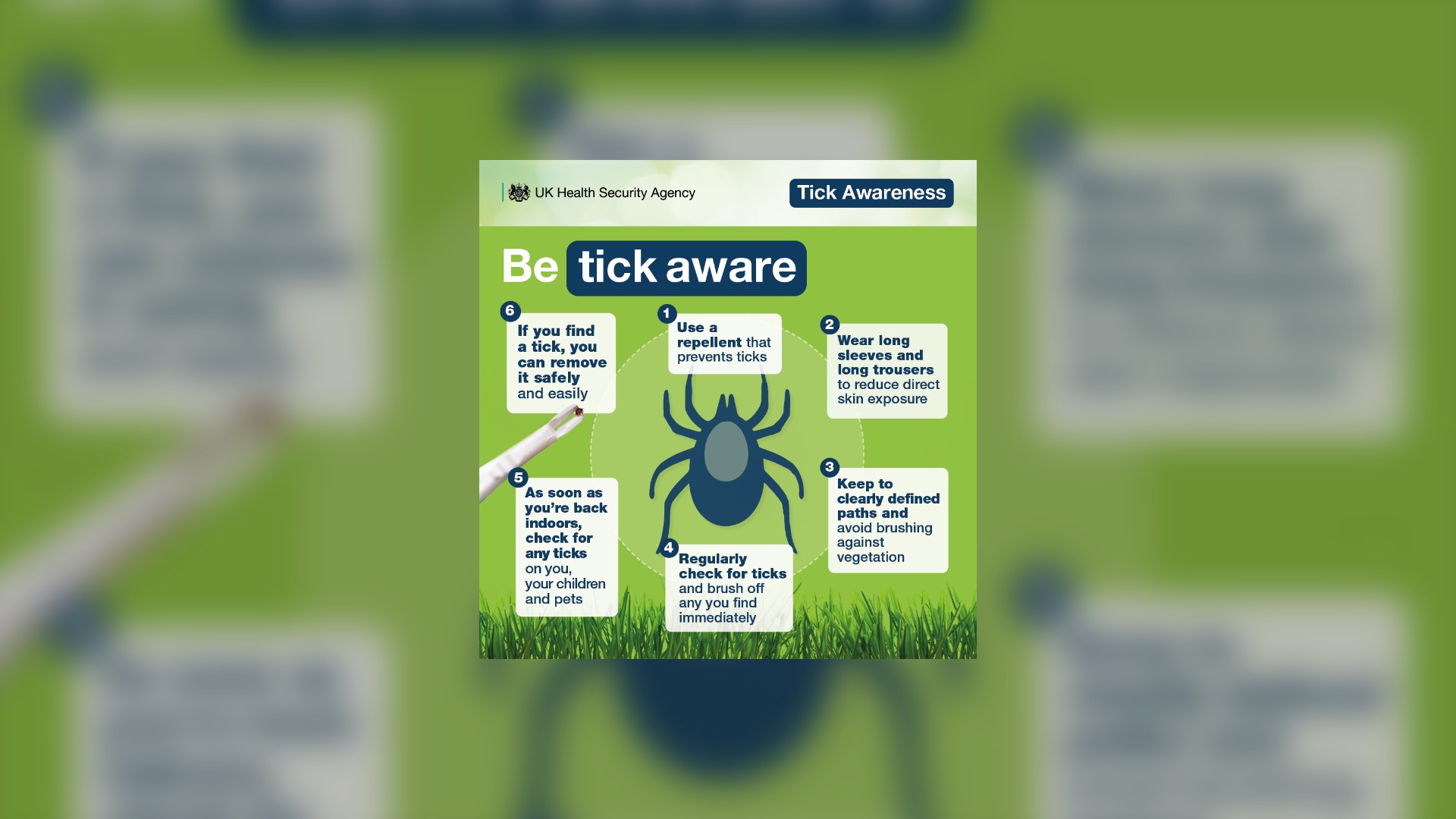 300 Lyme Disease cases in the South West in June say UKHSA