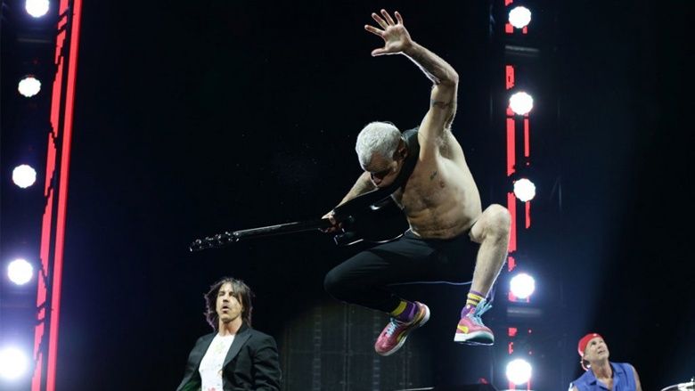 Flea becomes a beekeeper
