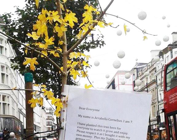 7-year-old girl plants a tree on a busy street and leaves adorable note ...