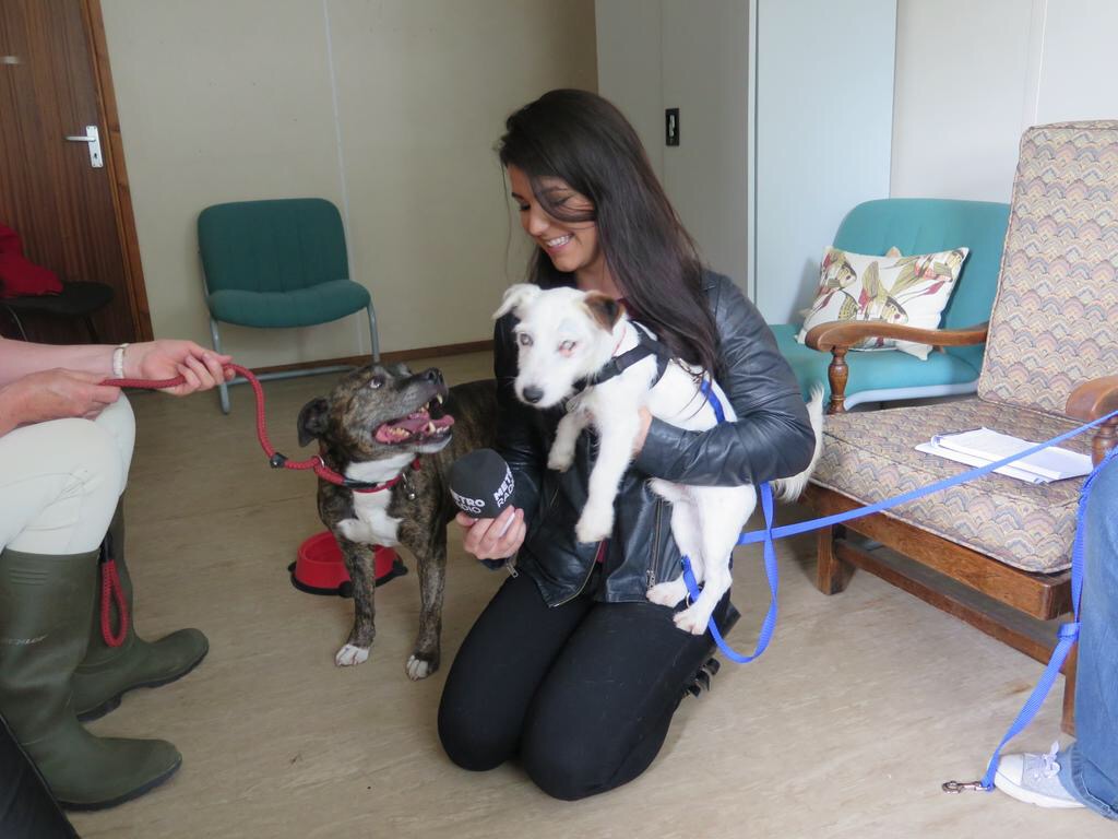 Meet A County Durham Dog & His Guide Dog | News - undefined