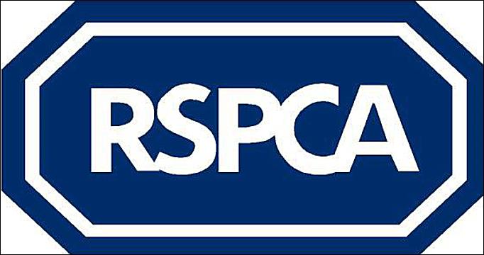 Man Banned From Keeping Animals After Two Dogs In Car At Creamfields ...