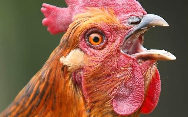 What Does The C Stand For In KFC Win Radio Borders what-does-the-c-stand-for-in-kfc-win-radio-borders
