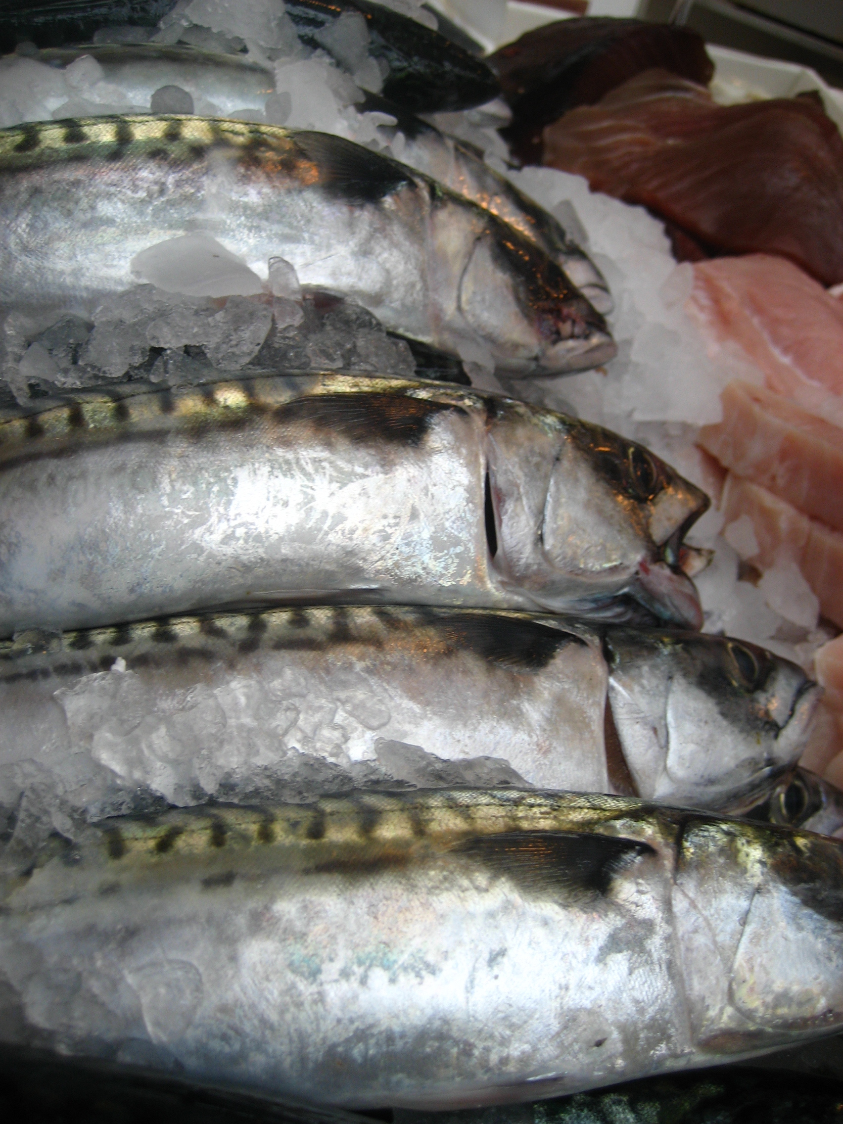 Cameras and sensors could help enforce fish discard ban - report claims ...