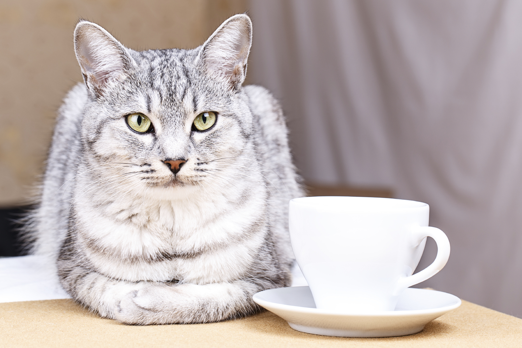 13 amazing jobs we wish we had | Trending News - Magic Radio