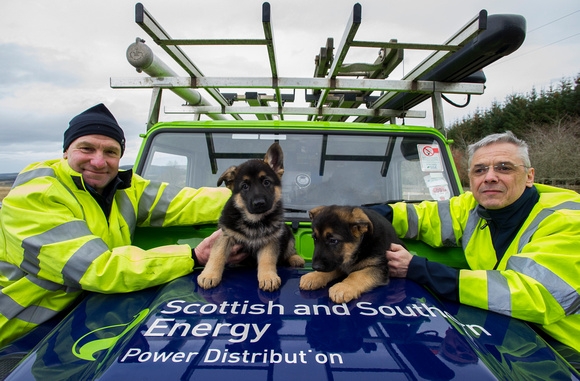 WATCH: Pups Named After Moray Rescuers | News - MFR