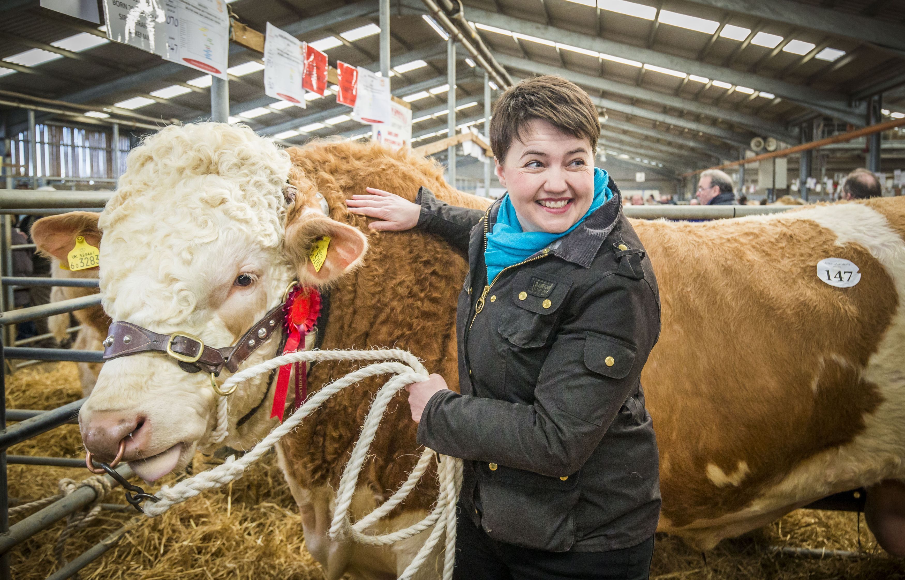 Ruth named Scottish Politician of the Year | News - undefined