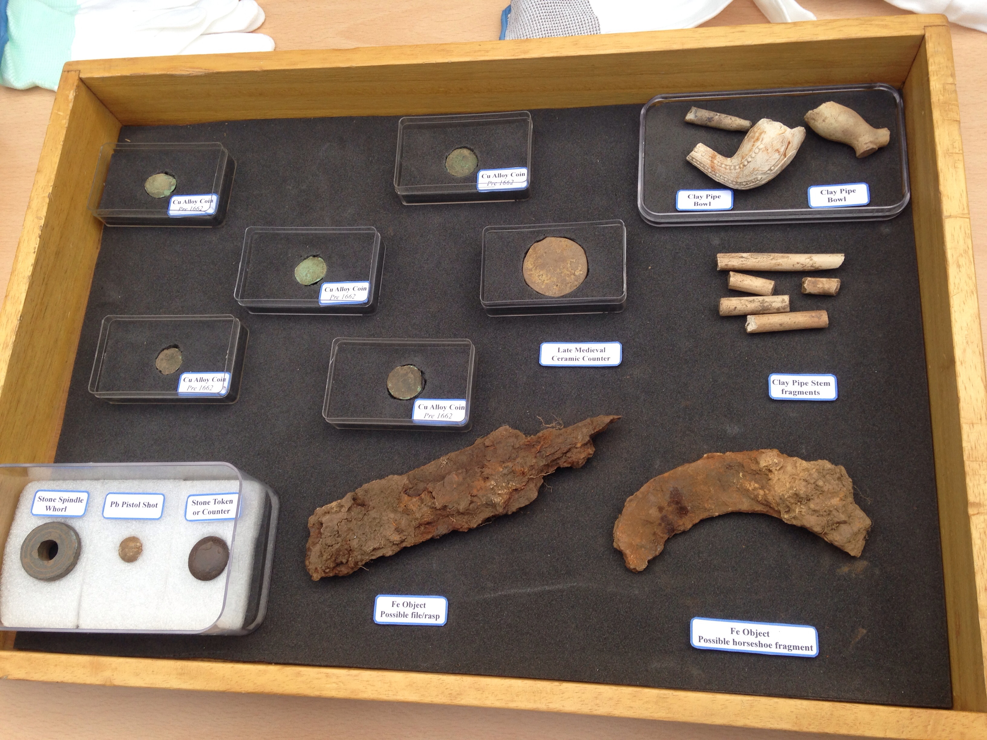 1000 Year Old Relics Found Metres from Motorway | News - Clyde 1